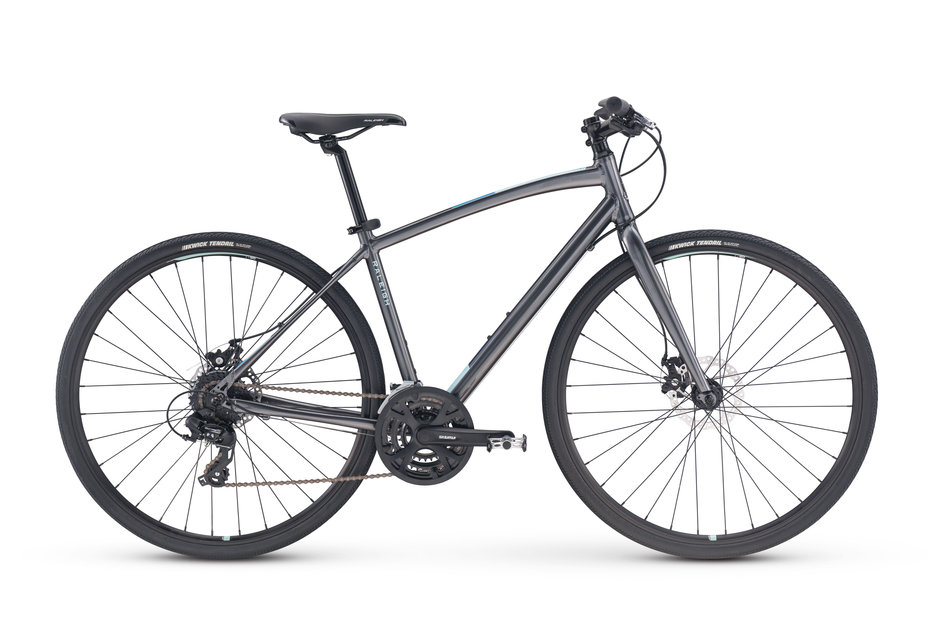 Raleigh-Alysa-2-grey-profile – Gary's Bikes